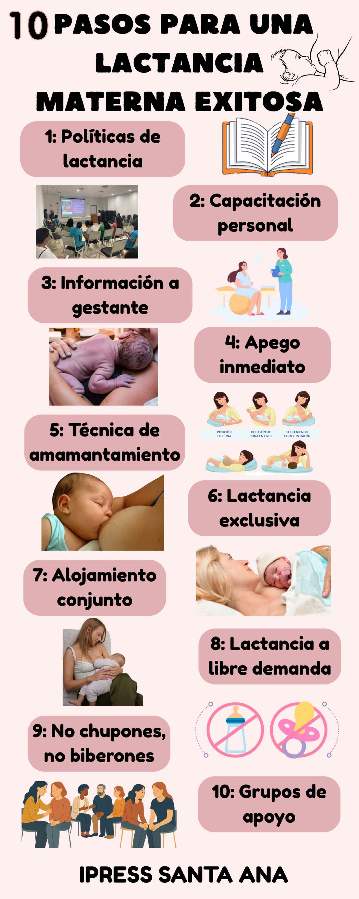 Infografía: 10 Pasos para una Lactancia Materna Exitosa - Studocu