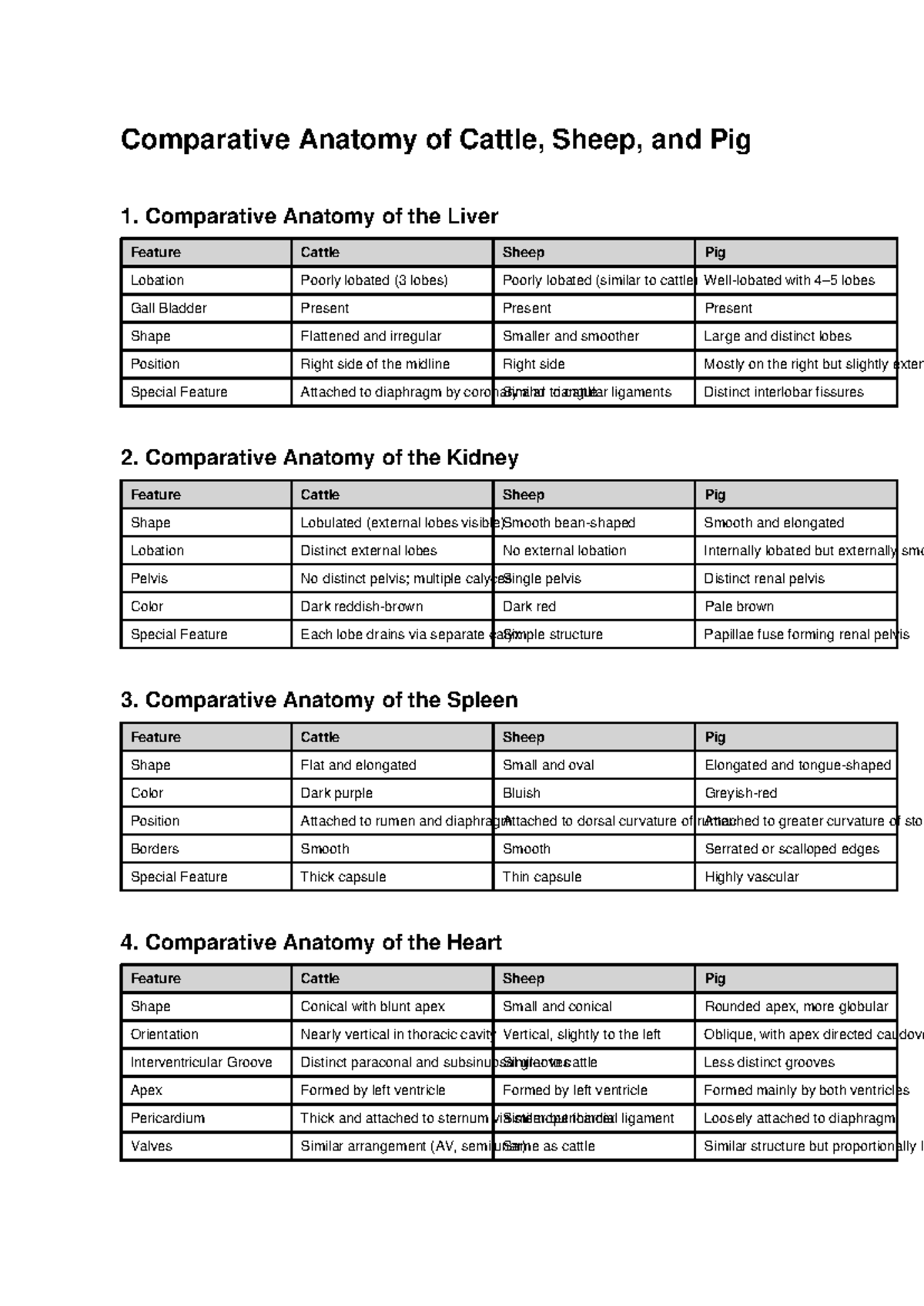 Comparative Anatomy of Cattle, Sheep, and Pig: Key Features Analysis ...