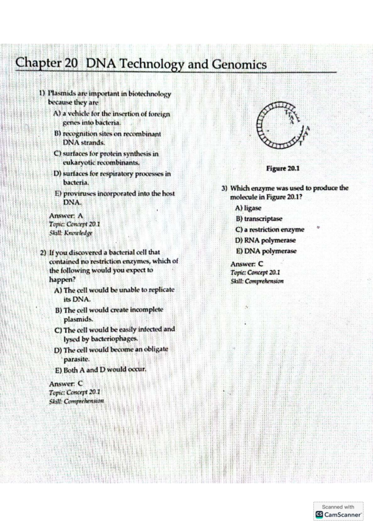 Mole BT Chapter 20: DNA Technology and Genomics Study Guide - Studocu