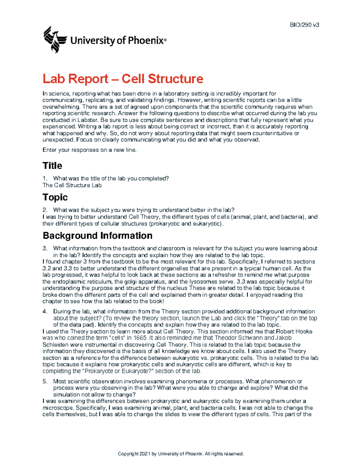 BIO290 Cell Structure Lab Report - Insights and Observations - Studocu