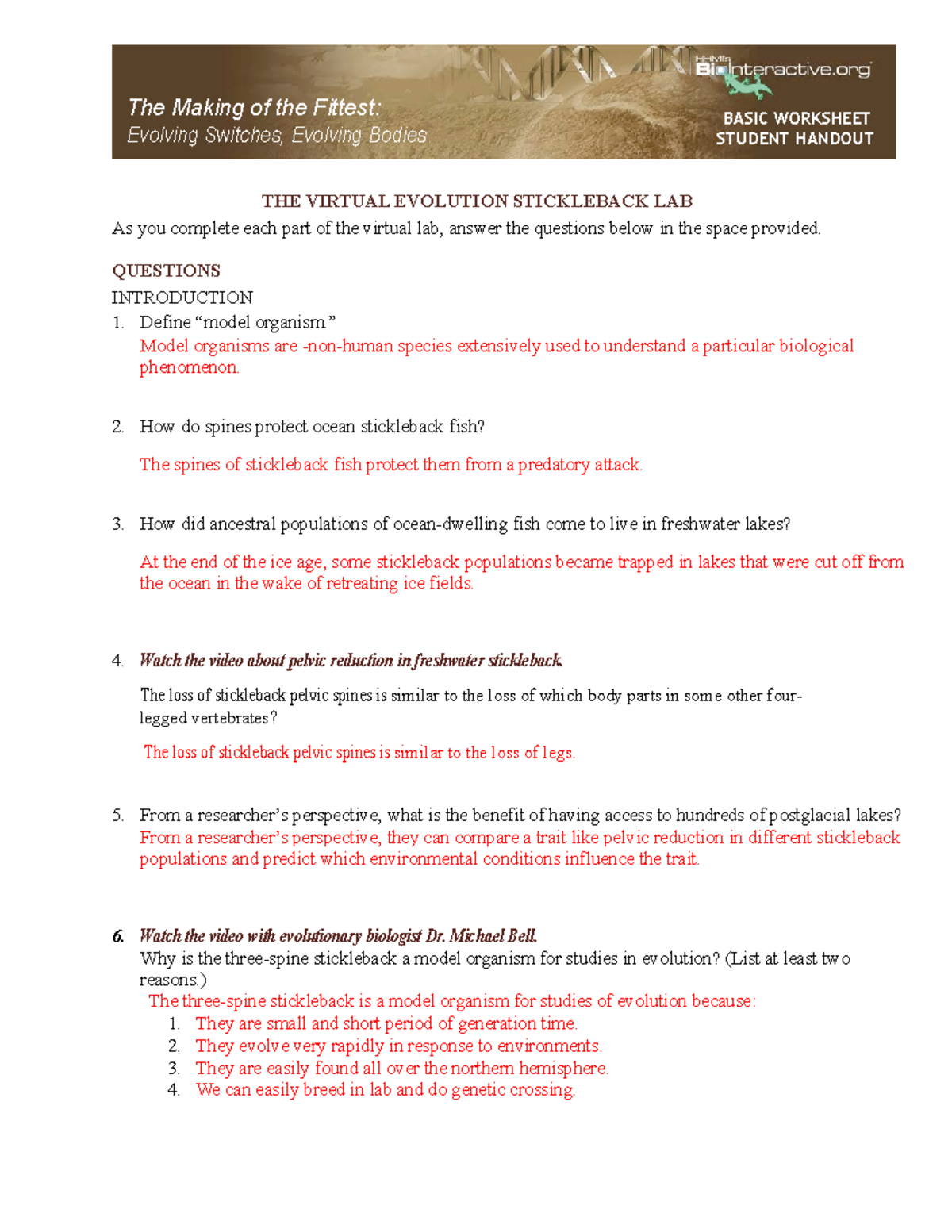 Stickleback Basic Lab Student-converted - THE VIRTUAL EVOLUTION ...