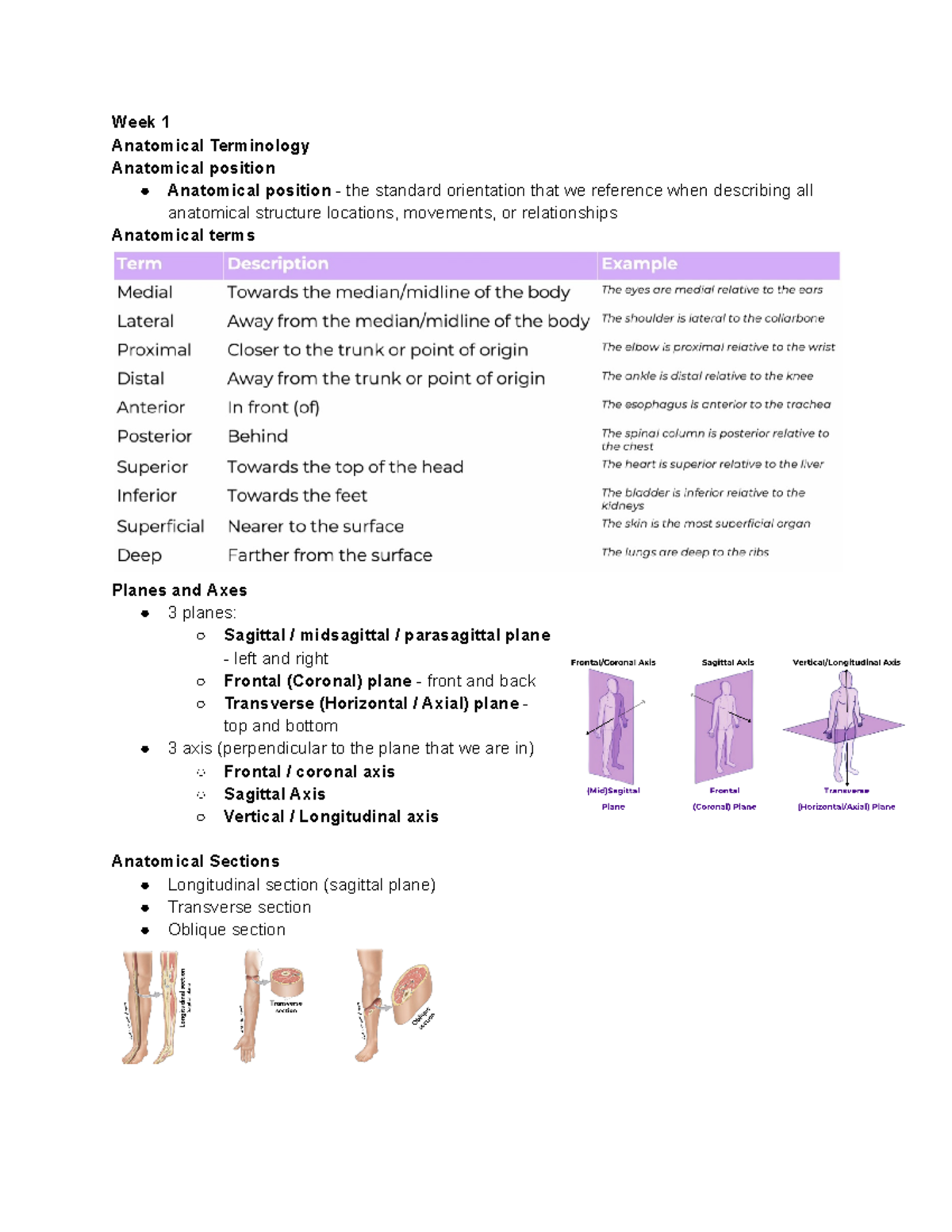 HS3300 anatomy unit 1 notes - Week 1 Anatomical Terminology Anatomical ...