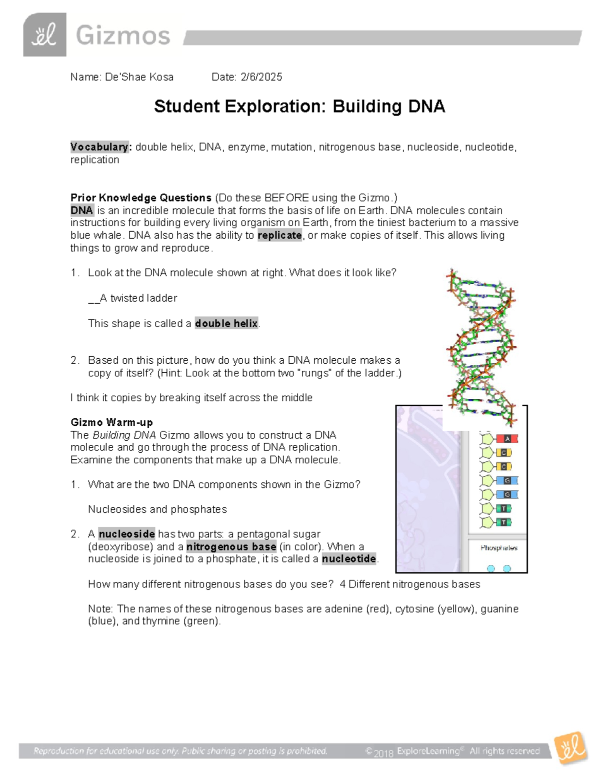 Lesson 4 DNA Building Dnase done - Name: De’Shae Kosa Date: 2/6 ...