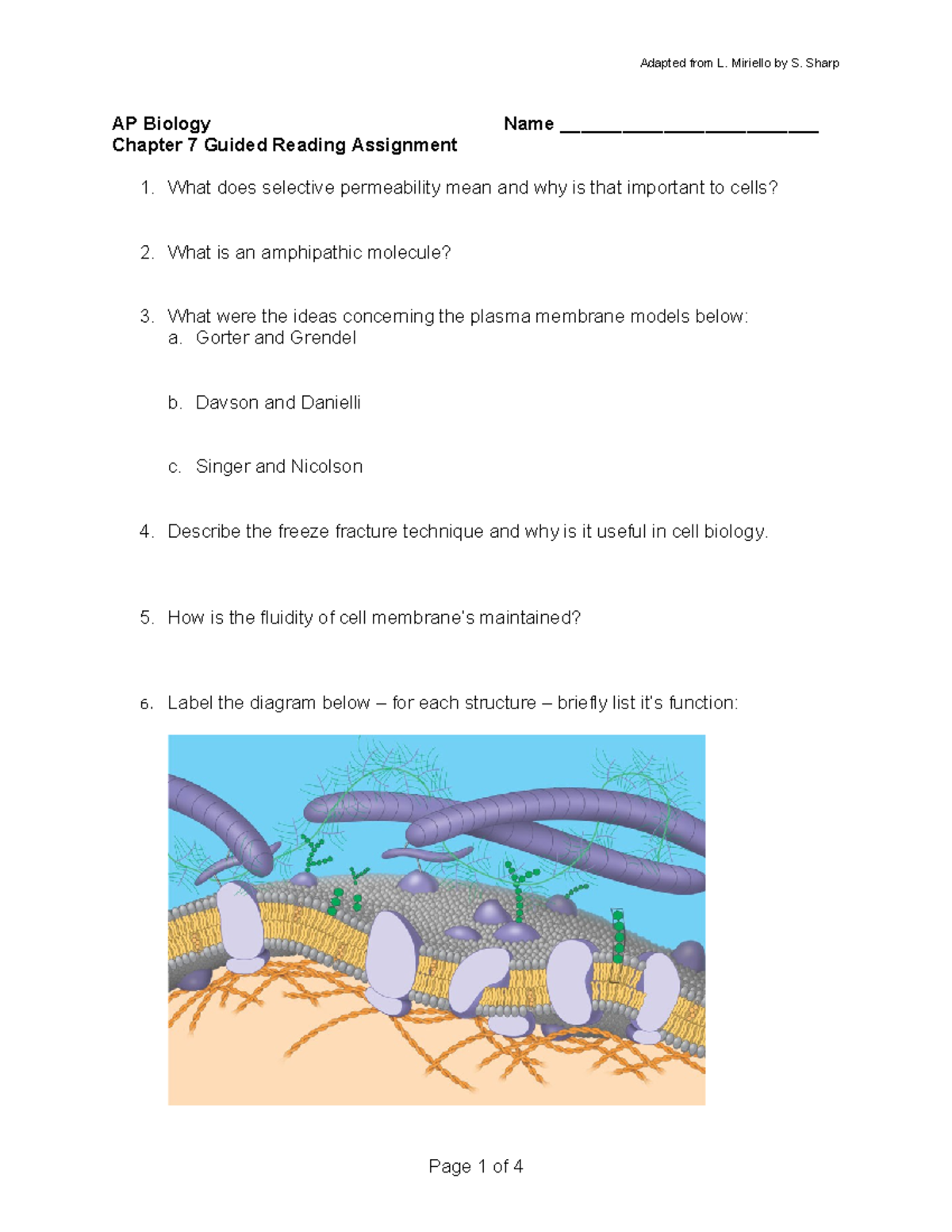 Ch 7 guided reading - chapter 7 - AP Biology Name ...