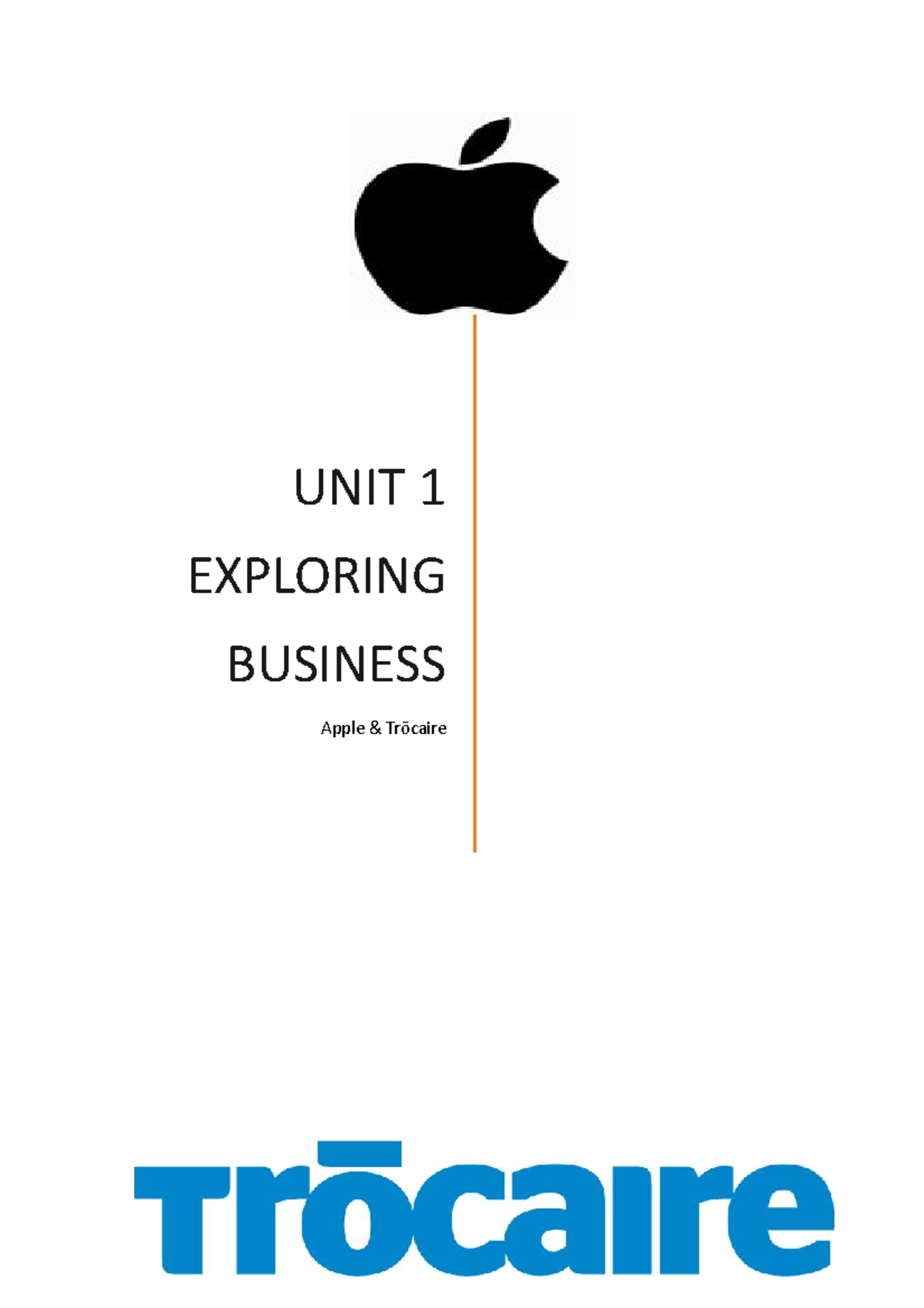 Assignment 1: Analysis of Apple PLC & Trōcaire Non-Profit Organization ...