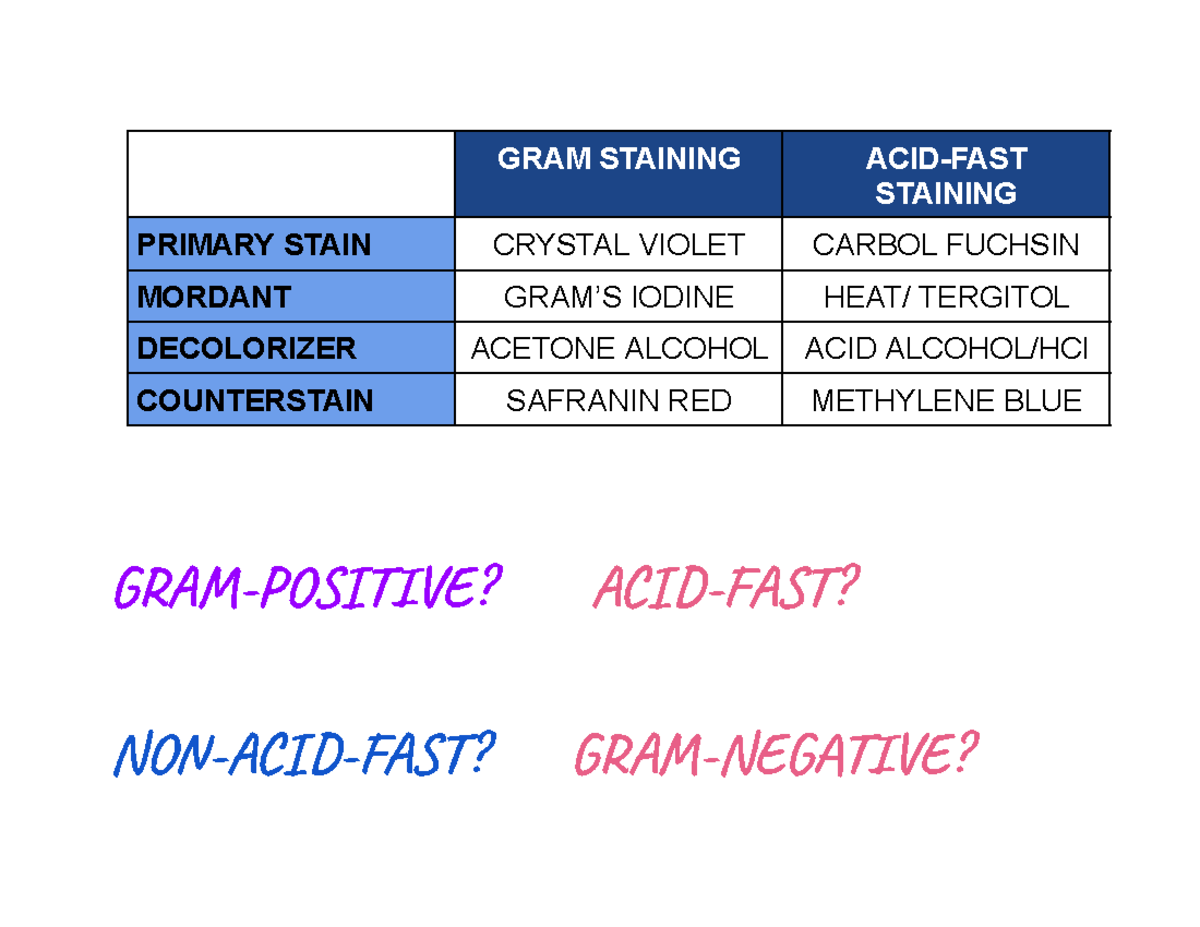 bacteriology notes - Medical Technology - GRAM-POSITIVE? ACID-FAST? NON ...