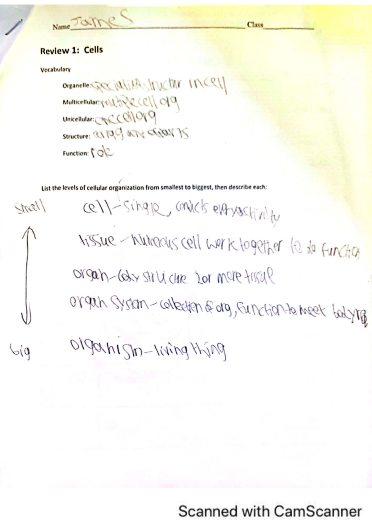 EOC 1 - Cells Structure and Function Review: Key Vocabulary and ...