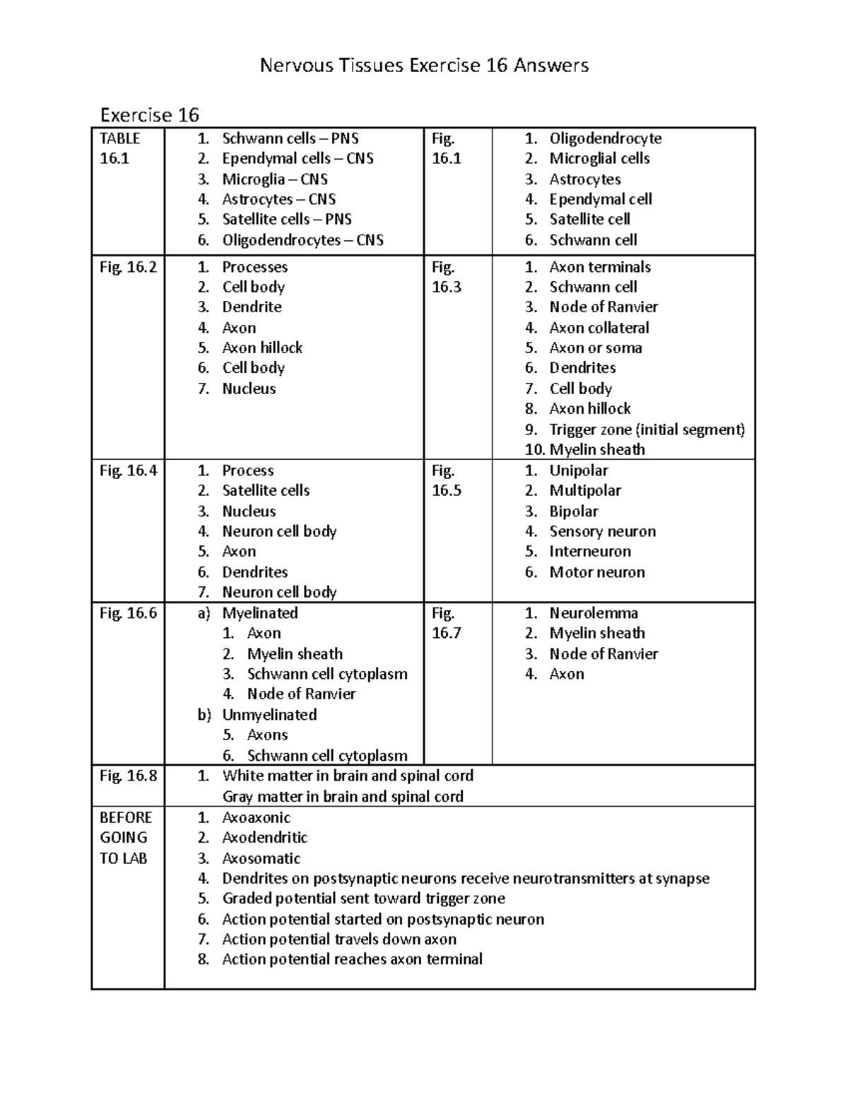 Nervous Tissue Lab Exercise 16: Comprehensive Answers and Review - Studocu