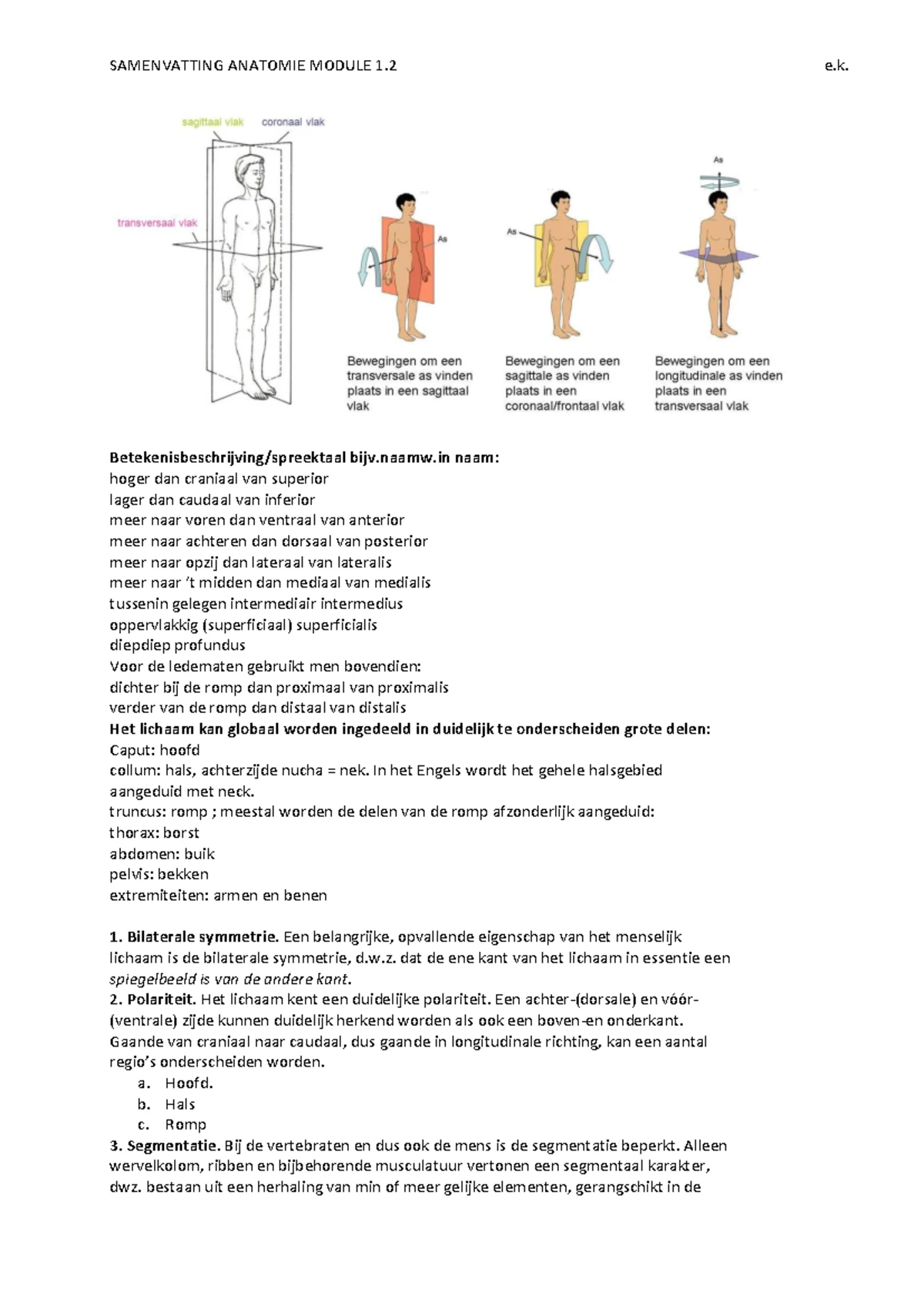 Werkcollege 3 - WC 3 - Werkcollege 1. Wat is de functie van de basale ...