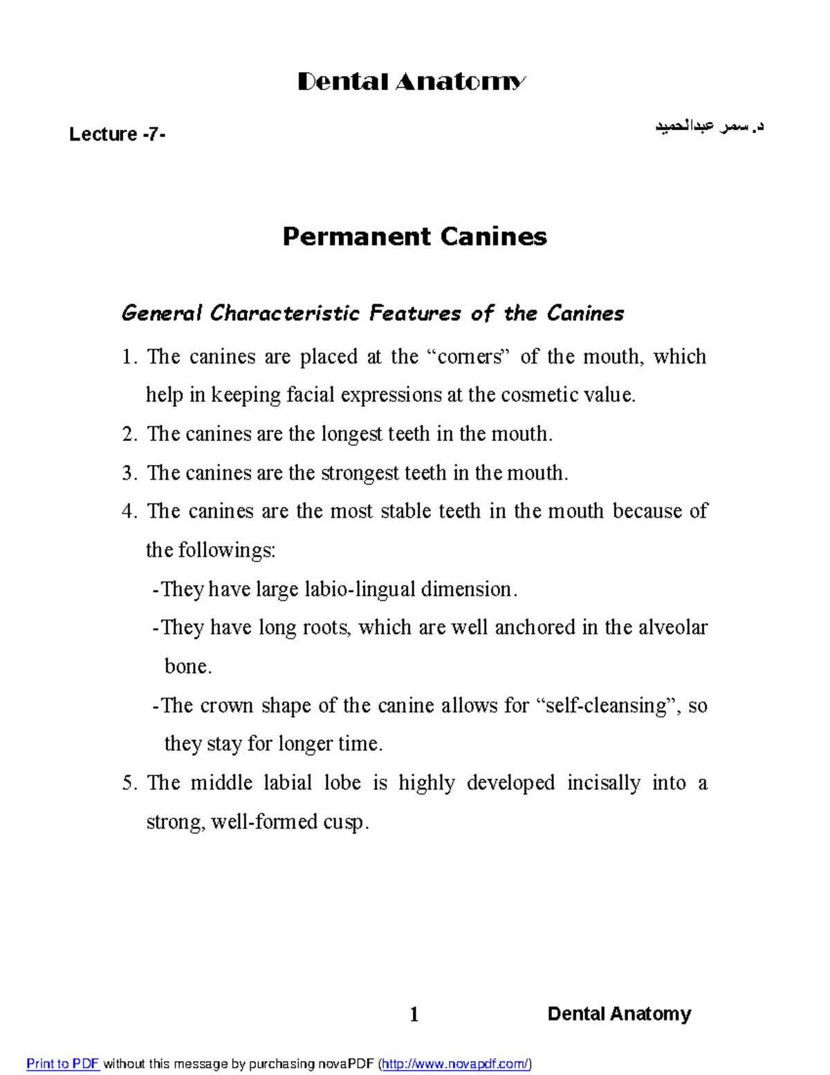 Lecture 7: Anatomy of Permanent Canines in Dental Studies - Studocu