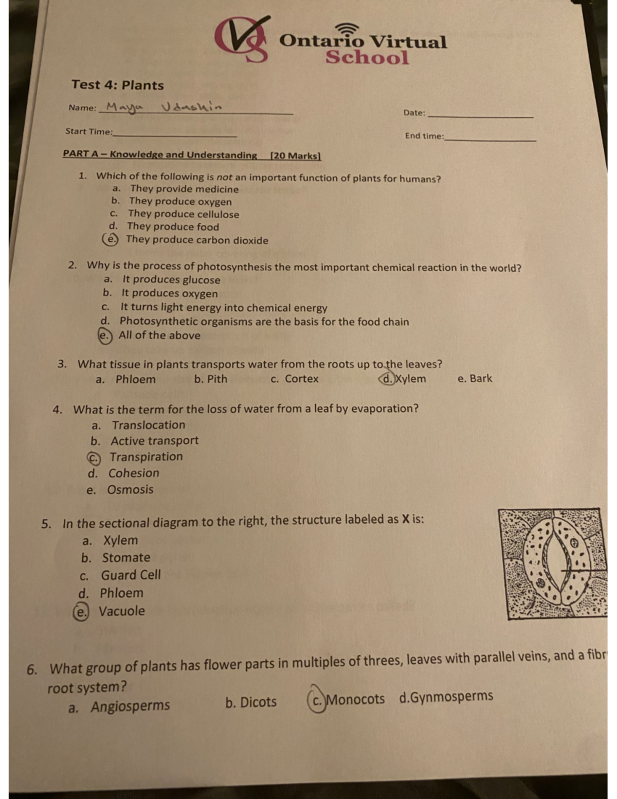 SBI3U Test 4 - Plant Biology Practice Questions and Answers - Studocu
