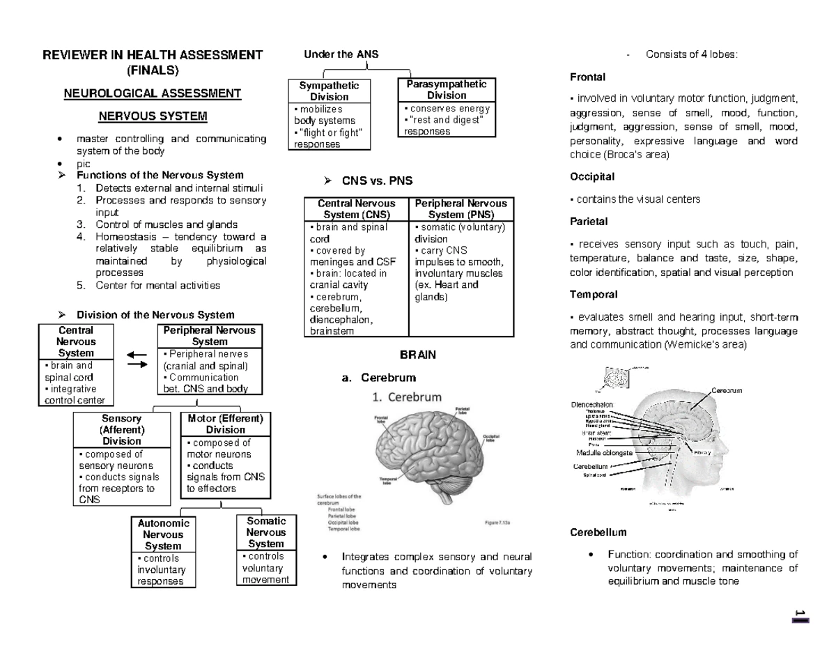 HEAS Module 1 : NCM 101 Health Assessment Module (School of Nursing ...