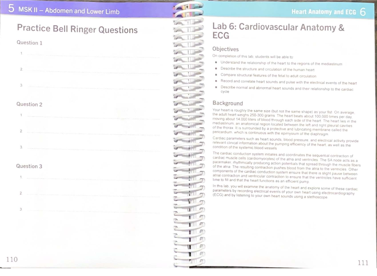 Hthsci 2FF3 Lab Manual Answer KEY: Cardiovascular Anatomy & Function ...
