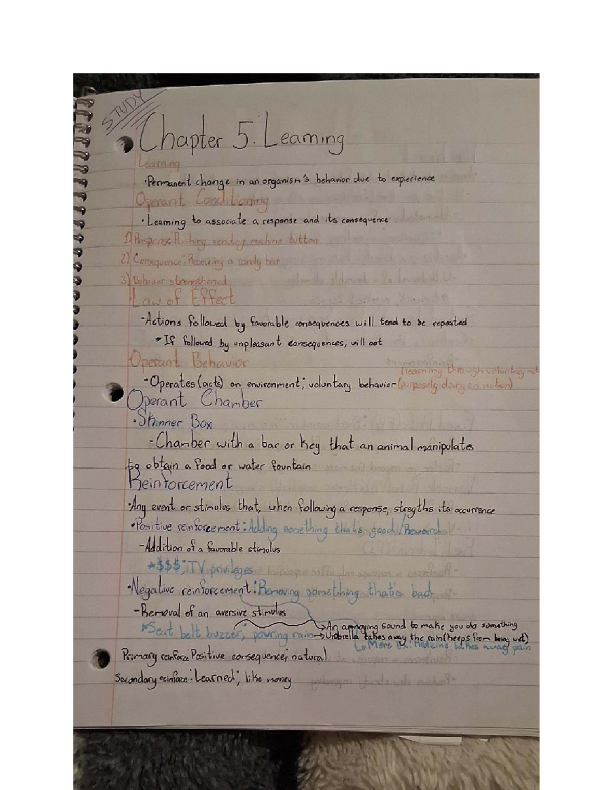 STUDY Chapter 5: Operant Conditioning and Learning Principles - Studocu
