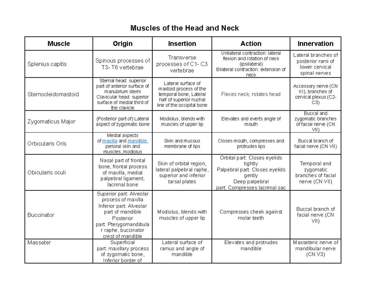 Anatomy & Physiology I: Muscles Lab Worksheet Guide - Studocu