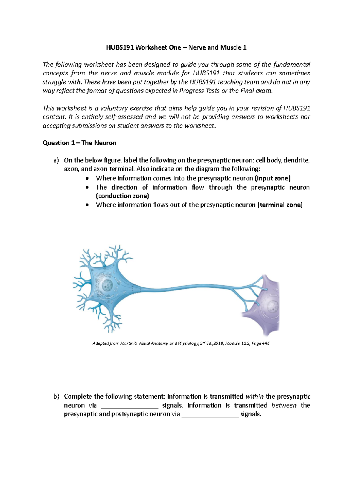 HUBS191 Worksheet Nerve & Muscle - HUBS191 Worksheet One – Nerve and ...
