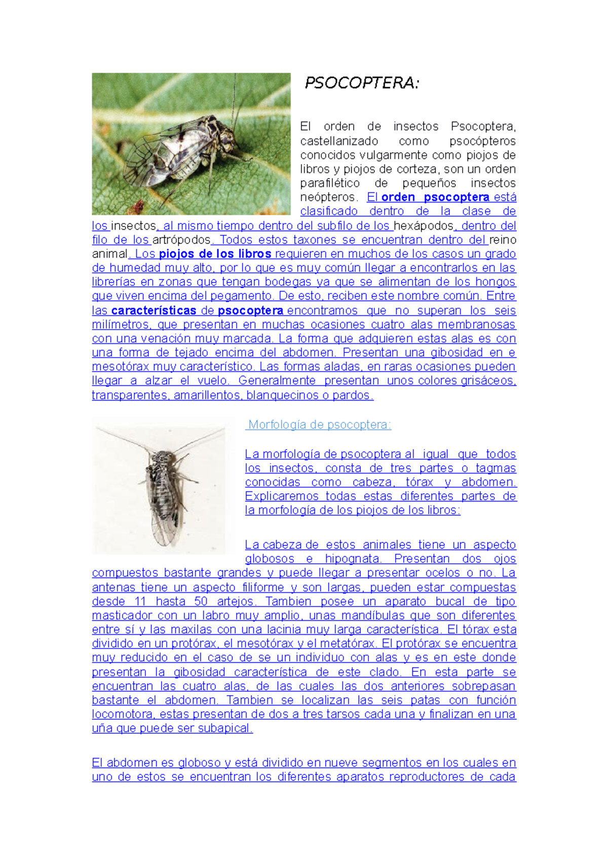 Taxonomia de insectos - espero que sea de su agrado - PSOCOPTERA: El ...