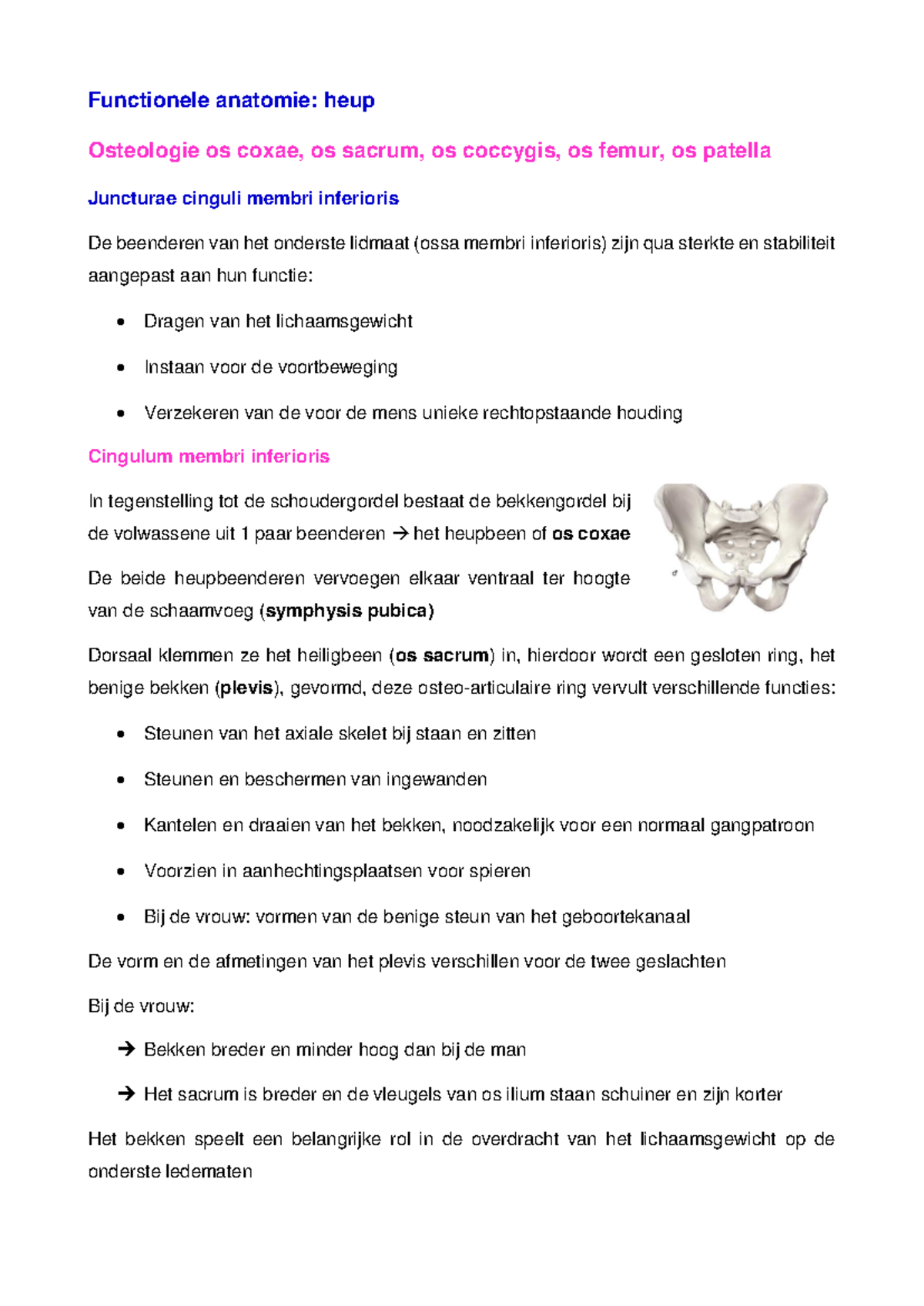 Functionele Anatomie Heup: Osteologie en Gewrichtsbewegingen - Studocu