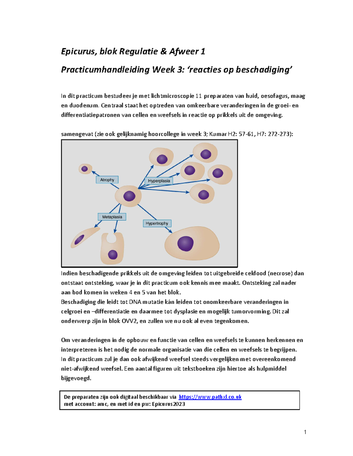 Practicumhandleiding Week 3: Reacties op Beschadiging (RA1) - Studeersnel