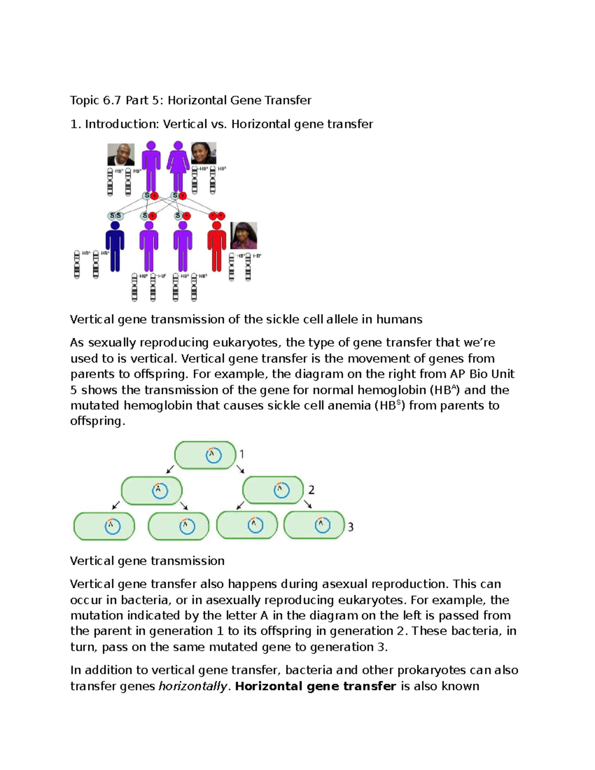 Horizontal Gene Transfer: Understanding Vertical vs. Horizontal ...