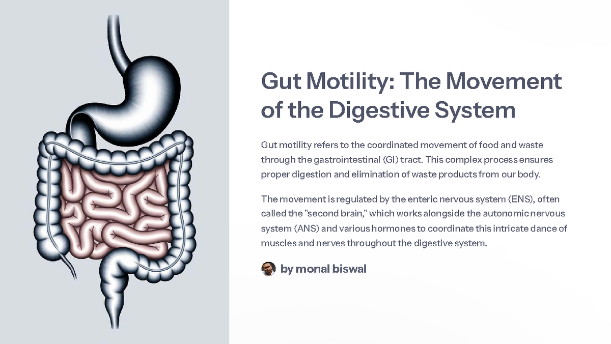 Gut Motility: Understanding Digestive Movement and Disorders - Studocu
