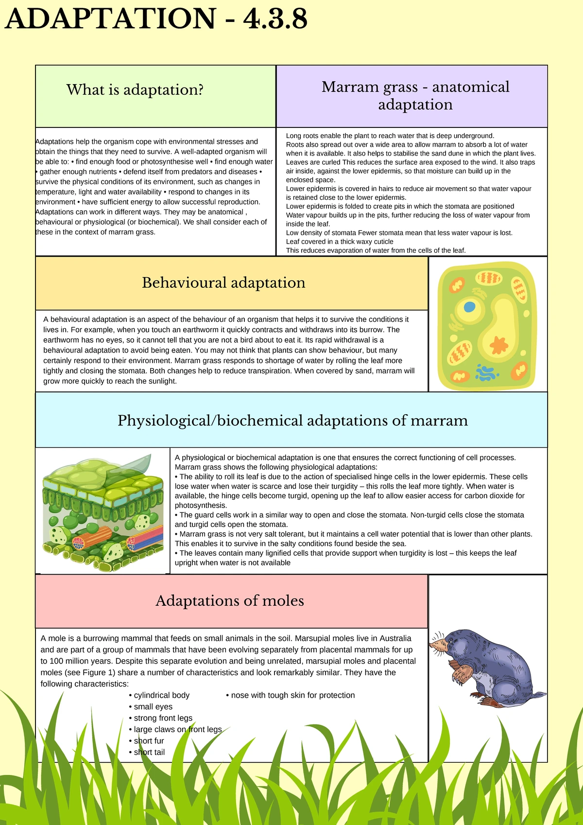 AQA A Level 7402 Biology: Mass Transport Practice Questions Pack - Studocu