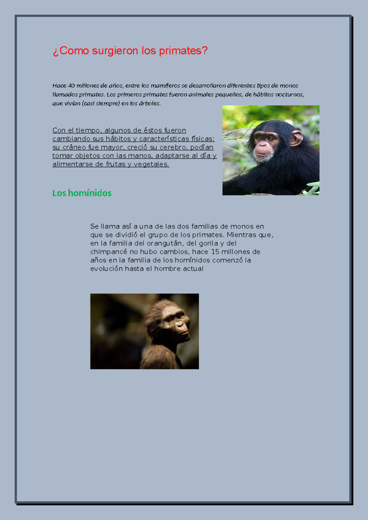 Evolución de los Primates: Orígenes y Desarrollo - Studocu