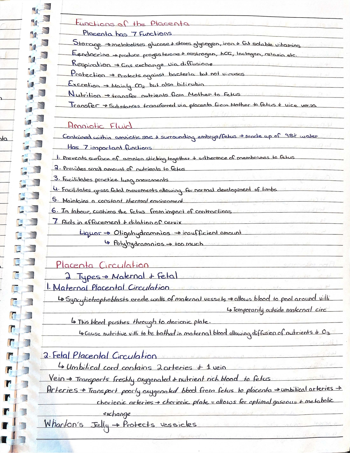 NS1003 - Wk2 Part 3 - Functions and Circulation of the Placenta - Studocu