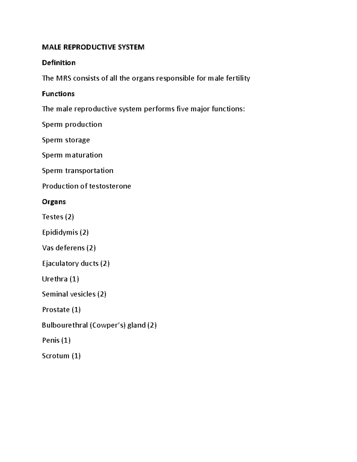 MALE REPRODUCTIVE SYSTEM: Functions, Organs, and Spermatogenesis ...