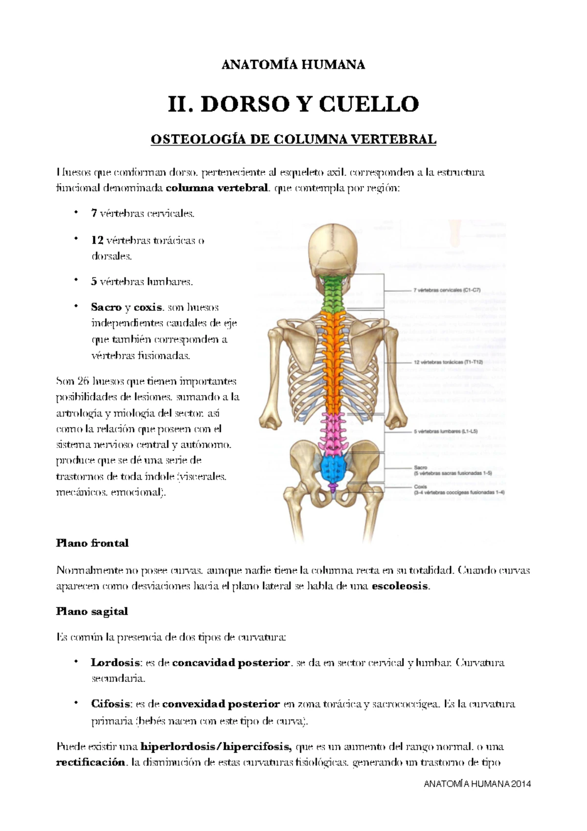 Informe Final Anatomía: Istmo de las Fauces - Odontología - Studocu