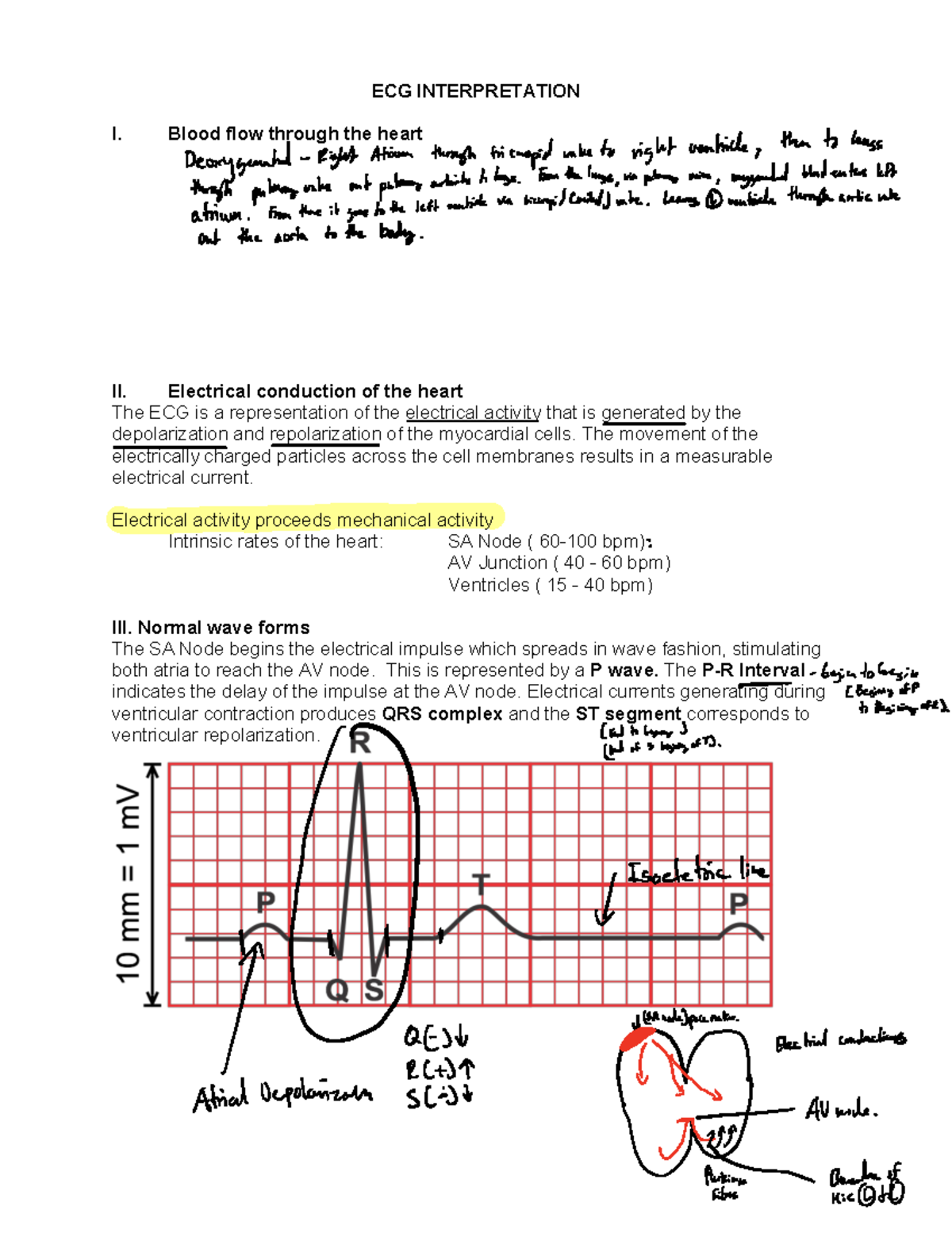 ECG 101: Interpretation & Principles for Cardiac Rhythm Analysis - Studocu
