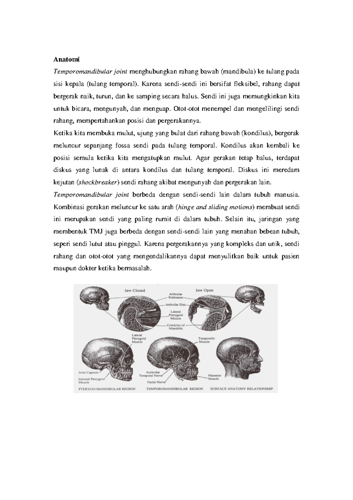 Anatomi dan Pergerakan Sendi Temporomandibular (TMJ) dalam Kesehatan ...
