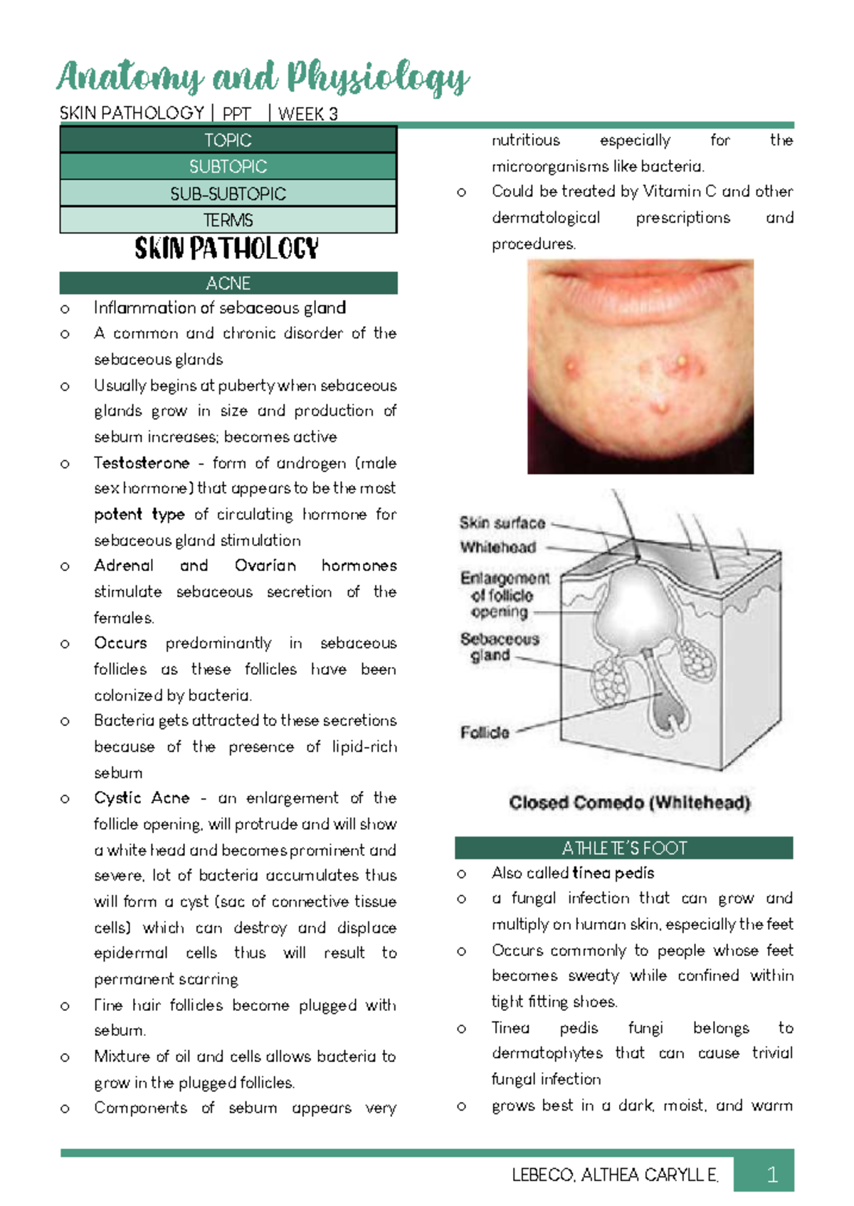 SKIN Pathology PPT - Week 3 Overview of Conditions & Treatments - Studocu