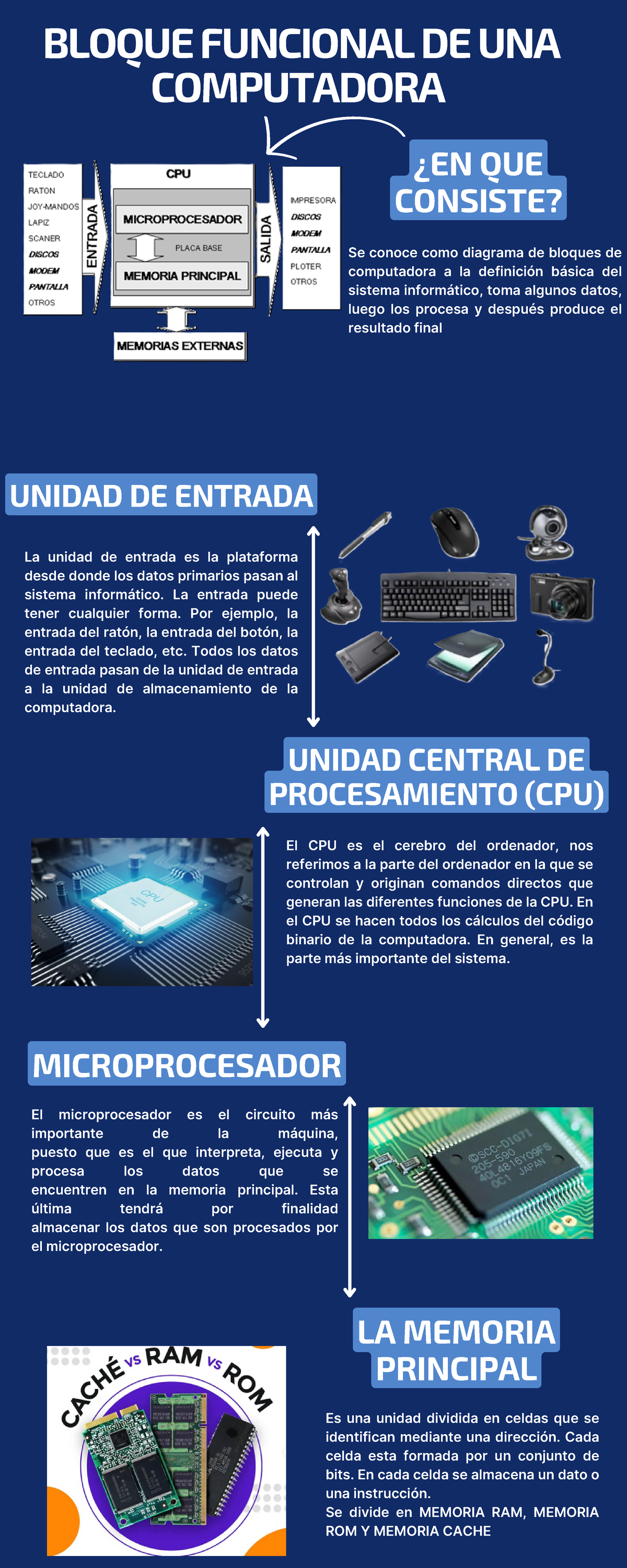 Infografía sobre la Arquitectura de Computadoras - CPU y Memoria - Studocu