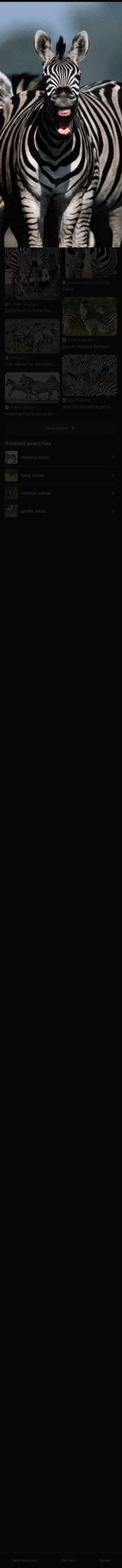 Vet med abbreviations - CHAPTER 1 Veterinary Medical Terminology and ...