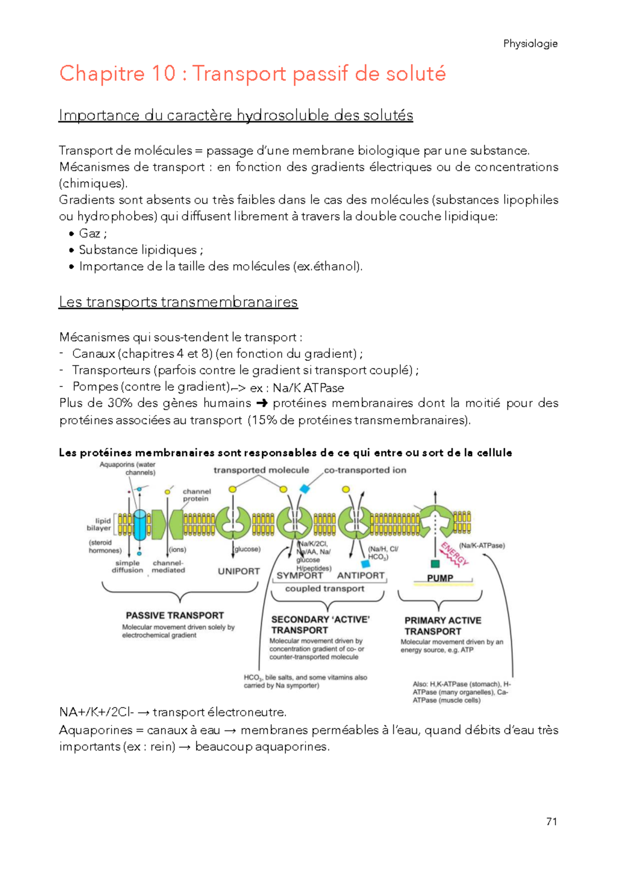 Physiologie Chapitres 10 à 12 : Transport Passif et Actif des Solutés ...