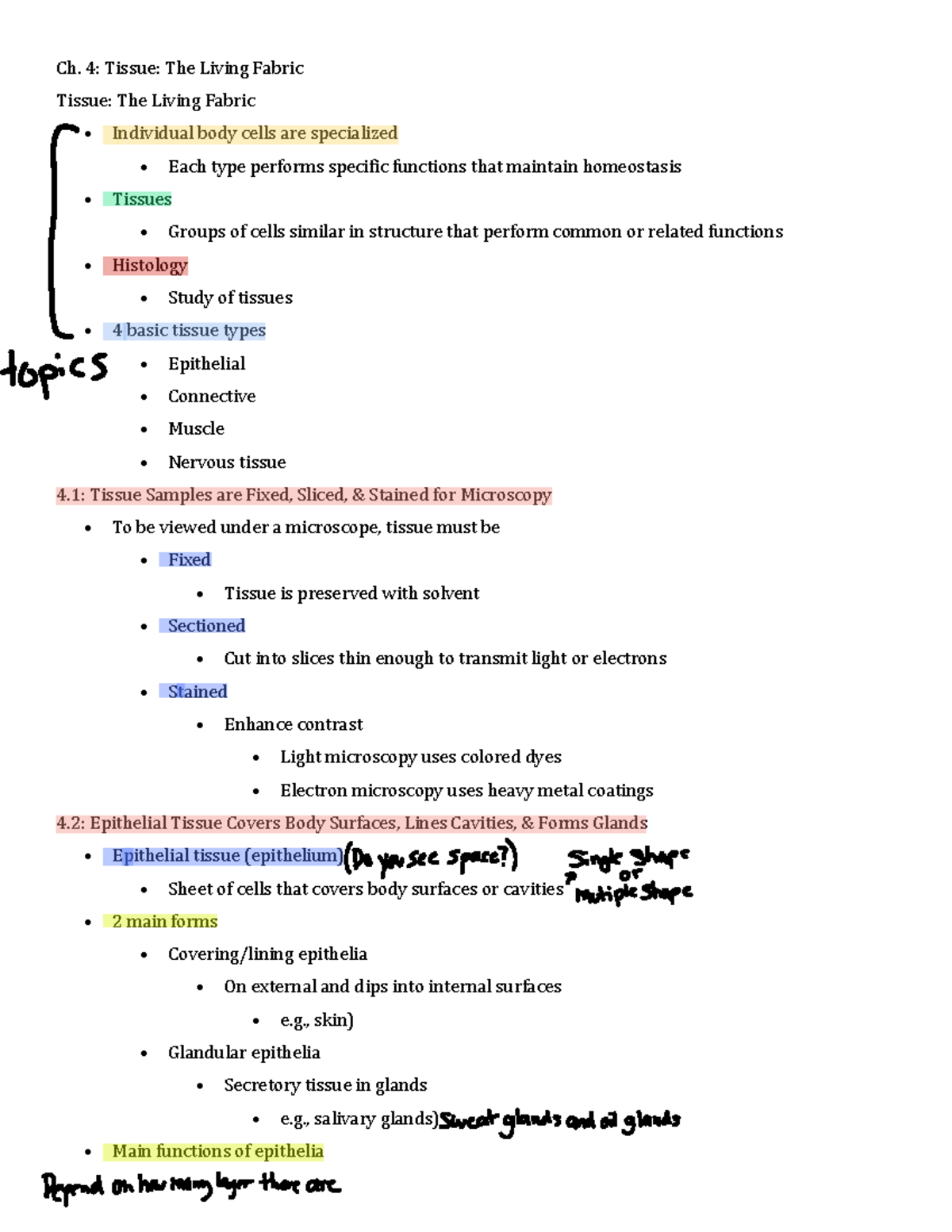 "Ch. 4: Tissue Types and Functions - Course X Midterm Study Guide" - Studocu