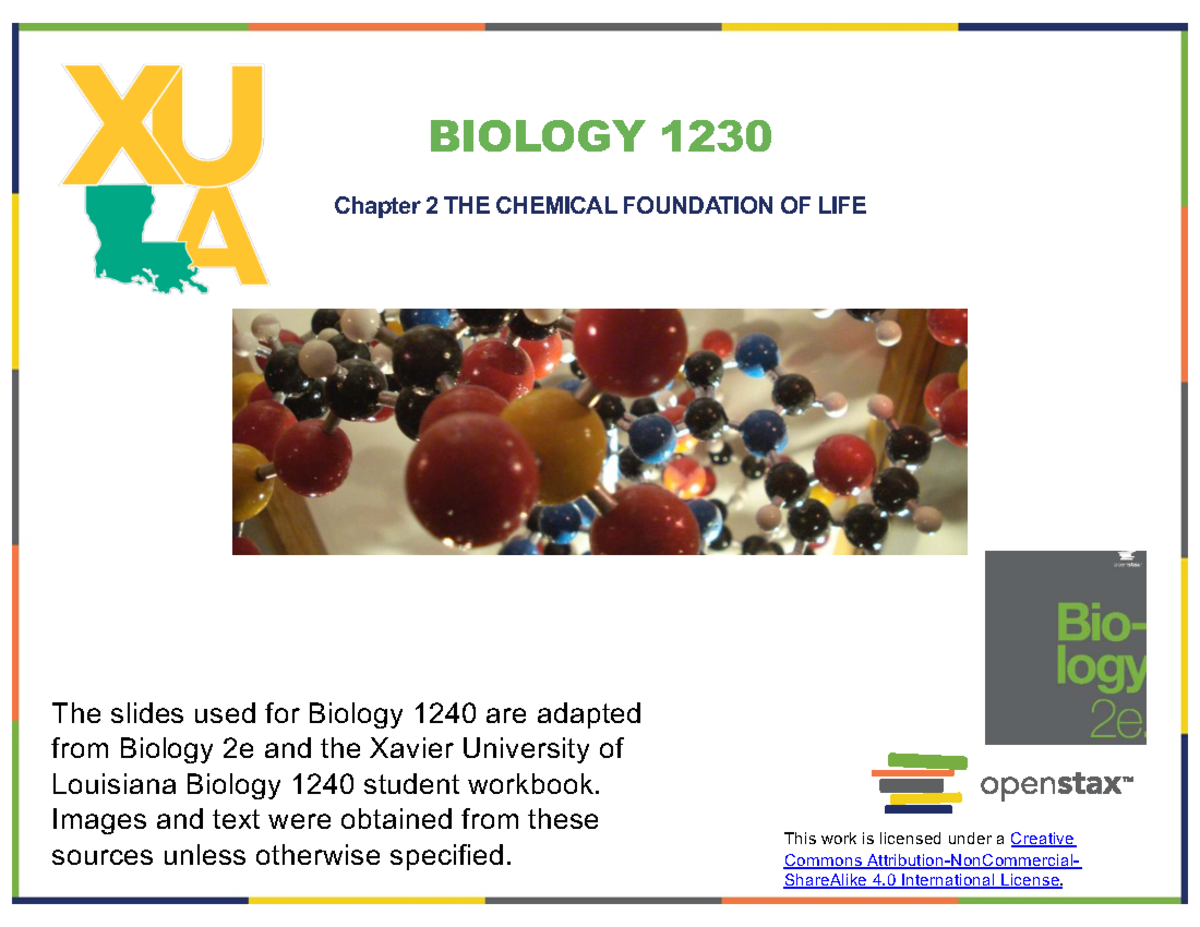 BIOLOGY 1230 Chapter 2: The Chemical Foundation of Life Slides - Studocu