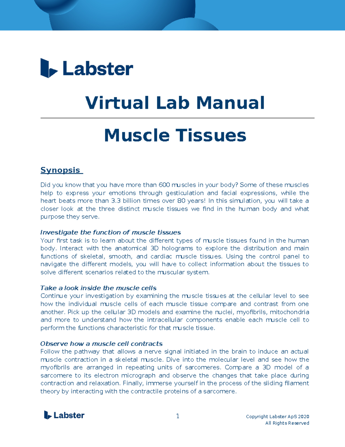 MUT Lab Manual: Exploring Muscle Tissues and Their Functions - Studocu