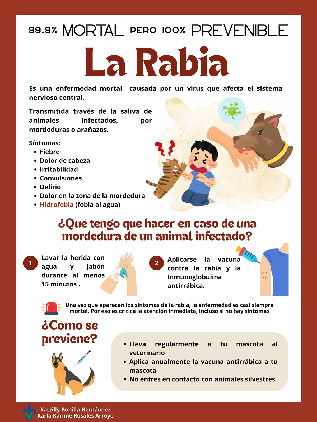 Infografía sobre la Rabia: Prevención y Tratamiento - Studocu