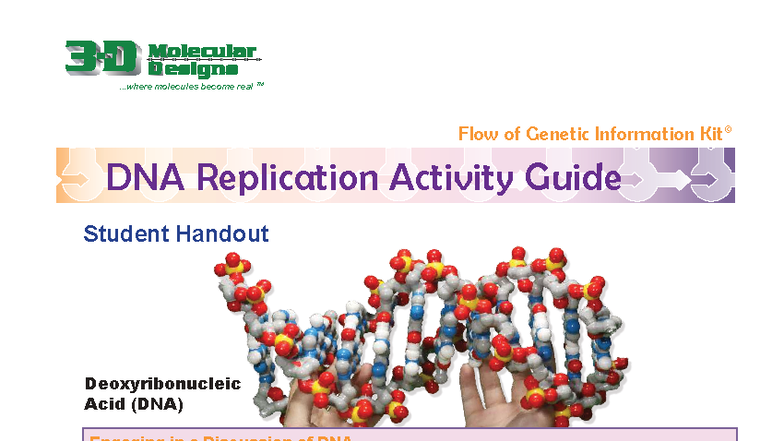 DNA Replication Activity Guide: Understanding Genetic Flow and ...
