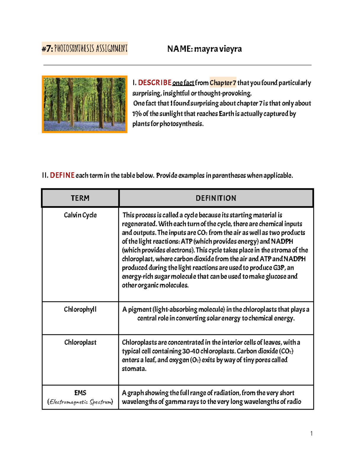 Photosynthesis Assignment (BIO101): Key Concepts & Quiz Evaluation ...