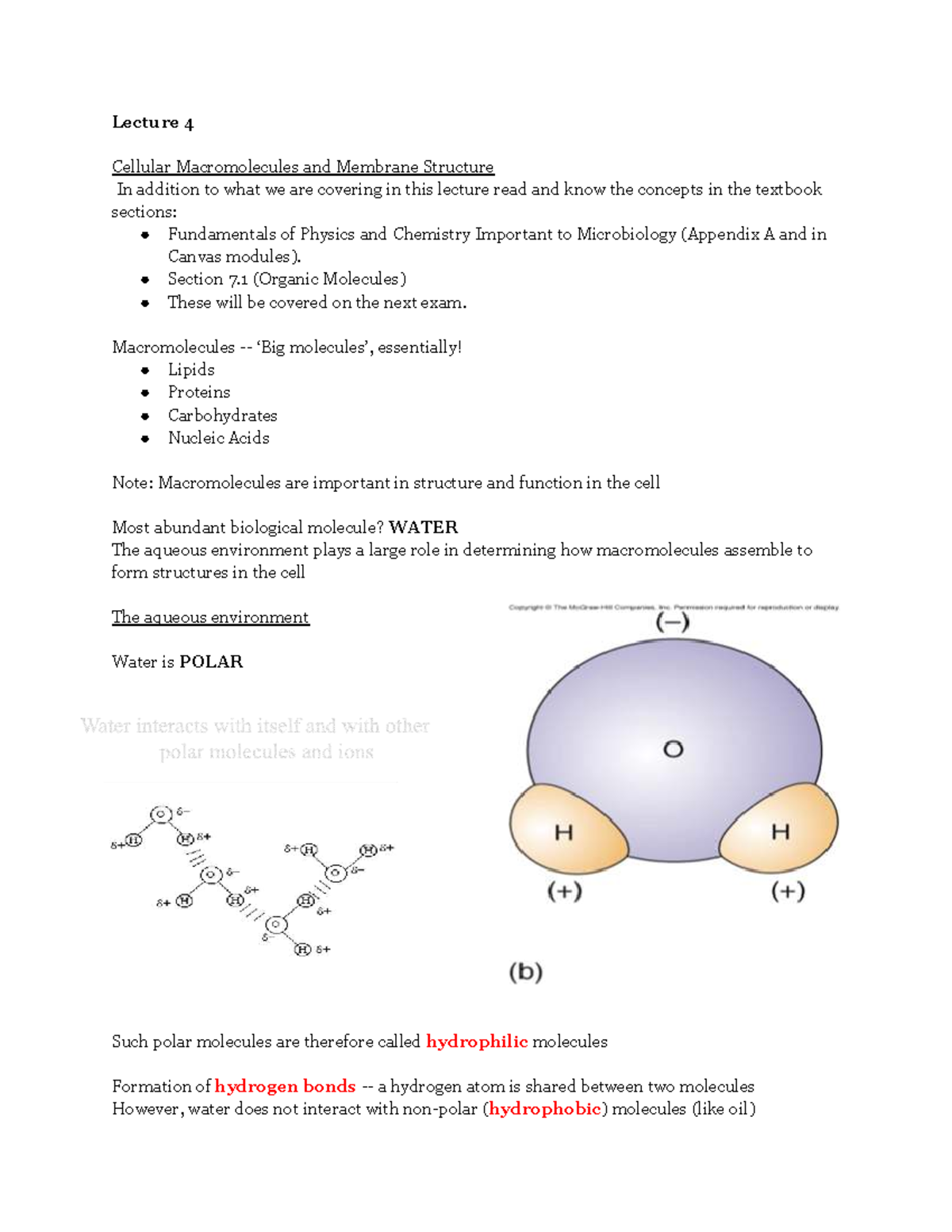 Microbiology Lecture Notes: Cellular Macromolecules & Membrane ...