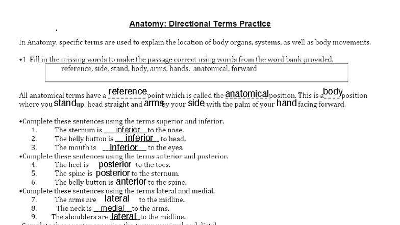 M1 Worksheet Directional Terms - with Answers - ANAT1101 - Studocu