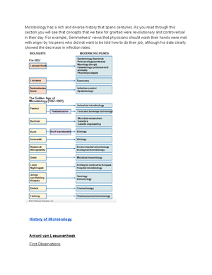 [Solved] Compare and contrast the relative sizes of the different ...