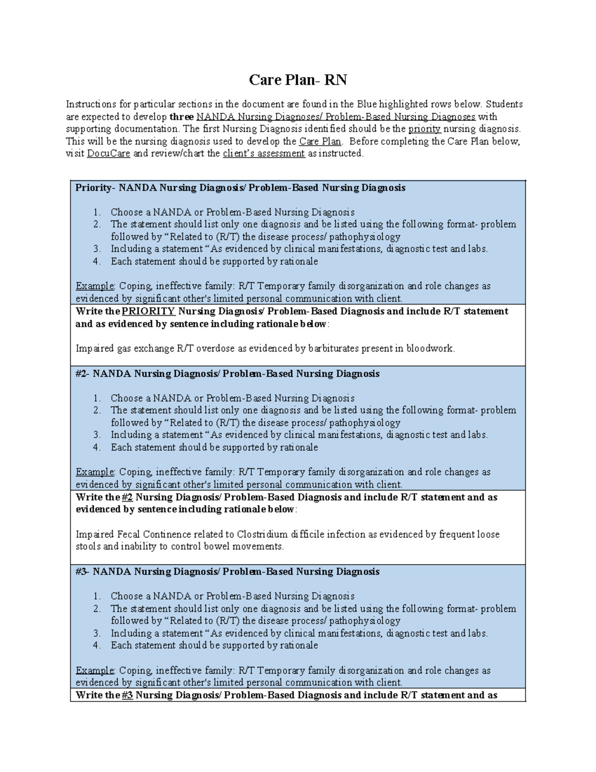 Care Plan 2 - Patient Care Plan example - Care Plan- RN Instructions ...