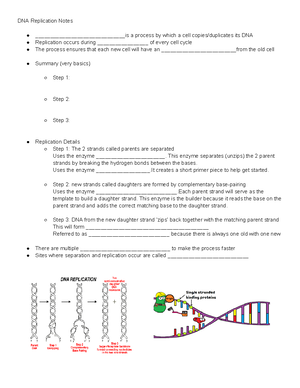 Kami Export - Andrae Dukes - Chromosome and Karyotype Worksheet - Name ...