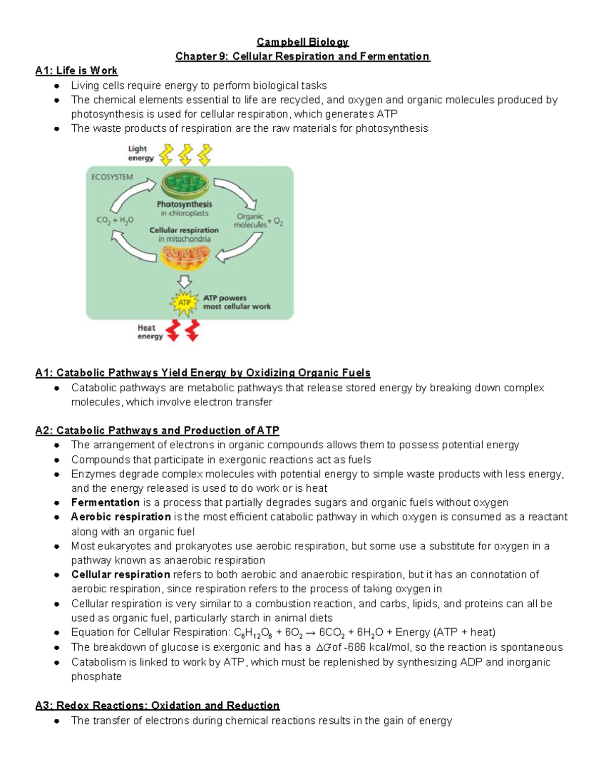 AP Biology Chapter 9 Notes - Campbell Biology Chapter 9: Cellular ...