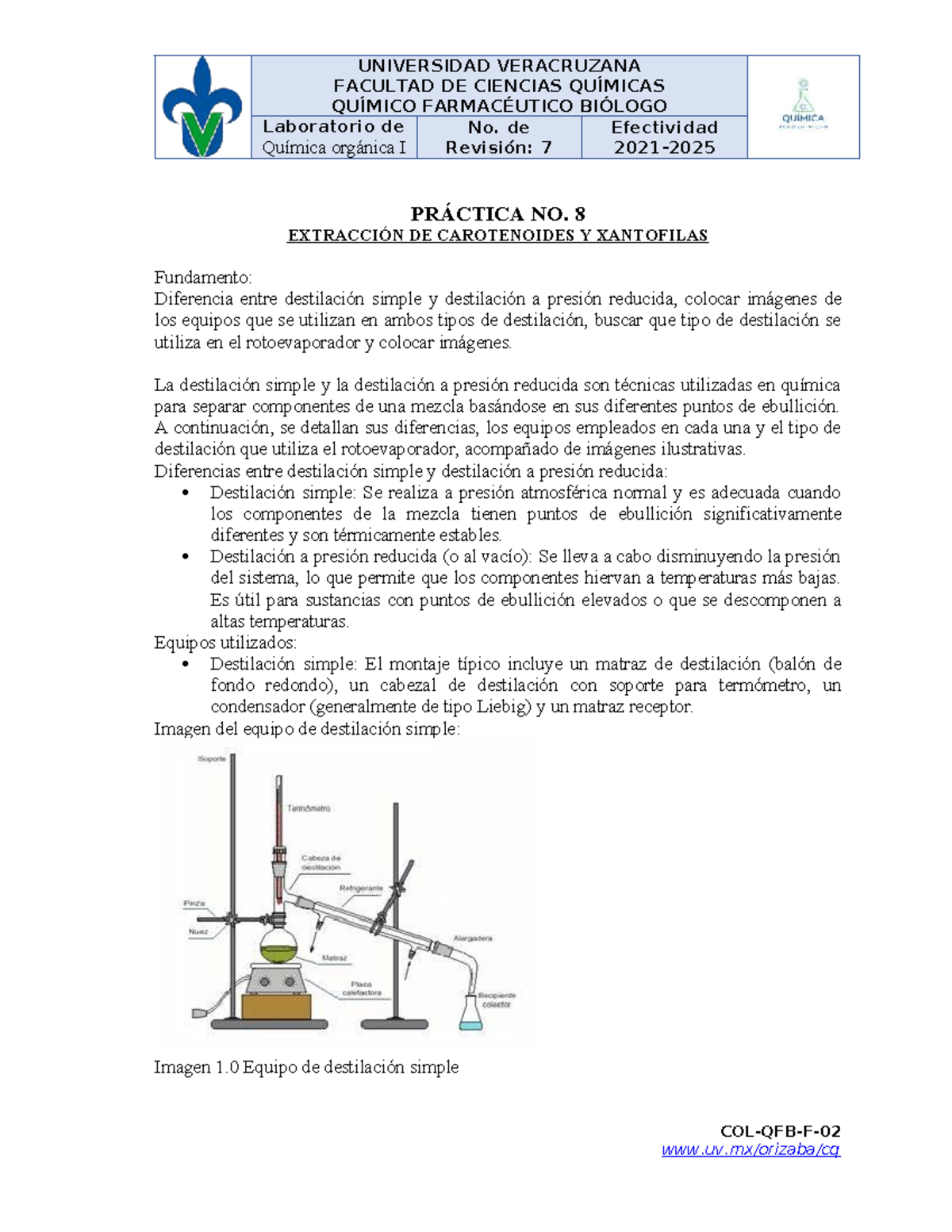 Práctica No. 8: Extracción de Carotenoides y Xantofilas - Química ...