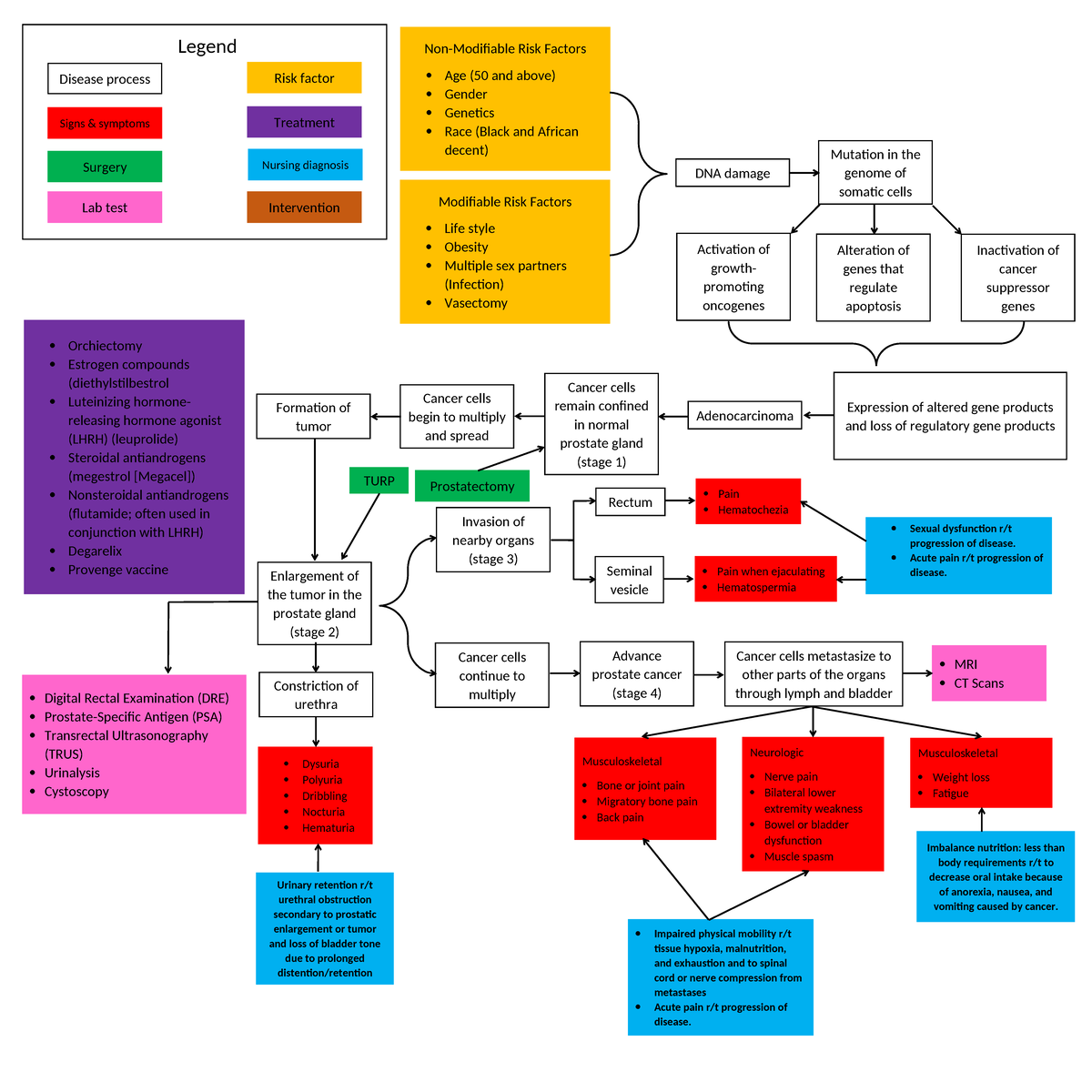 Prostate-cancer-concept-map-1 - / Hematochezia Non-Modifiable Risk ...